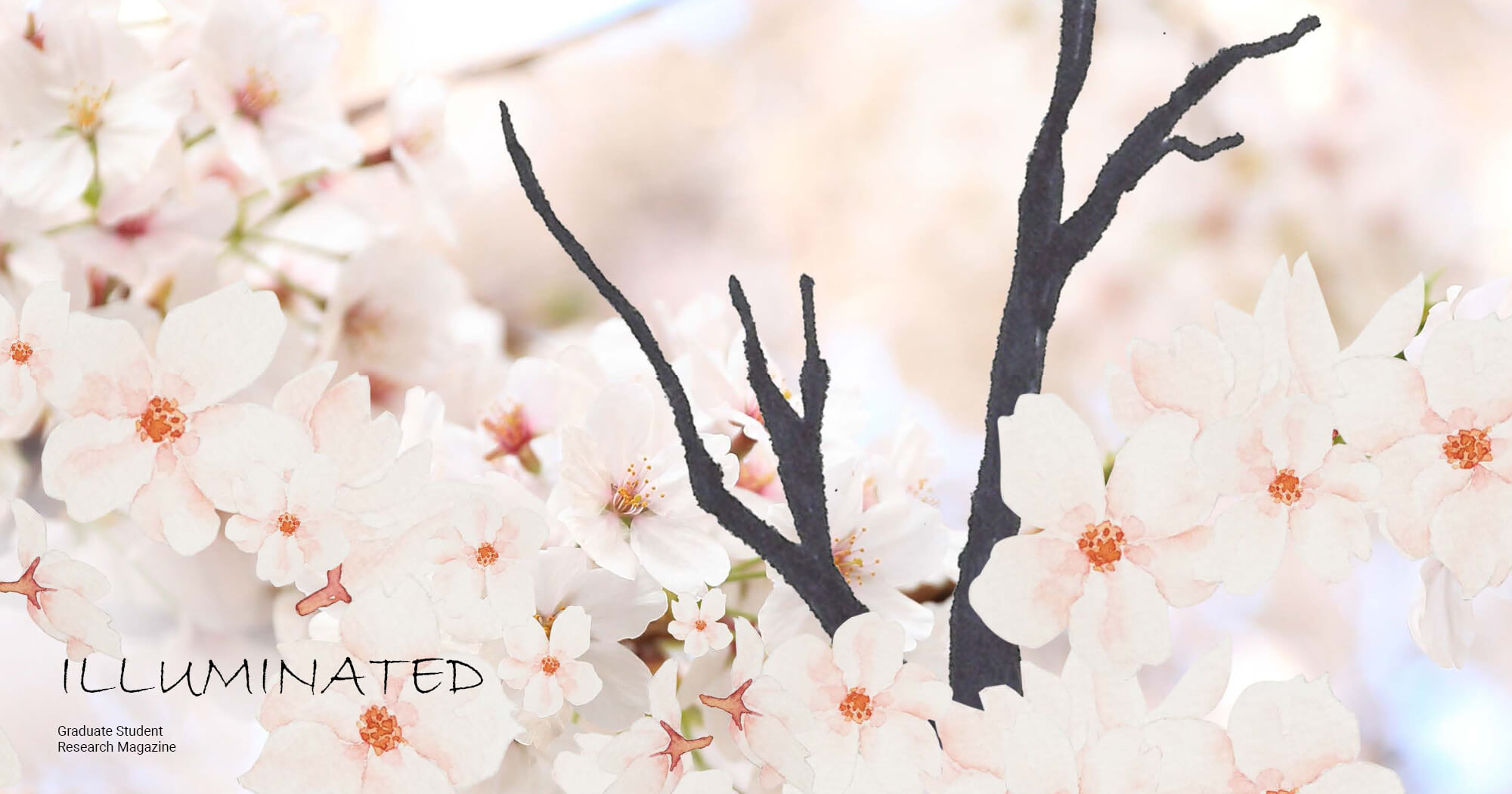 ETSU Graduate School