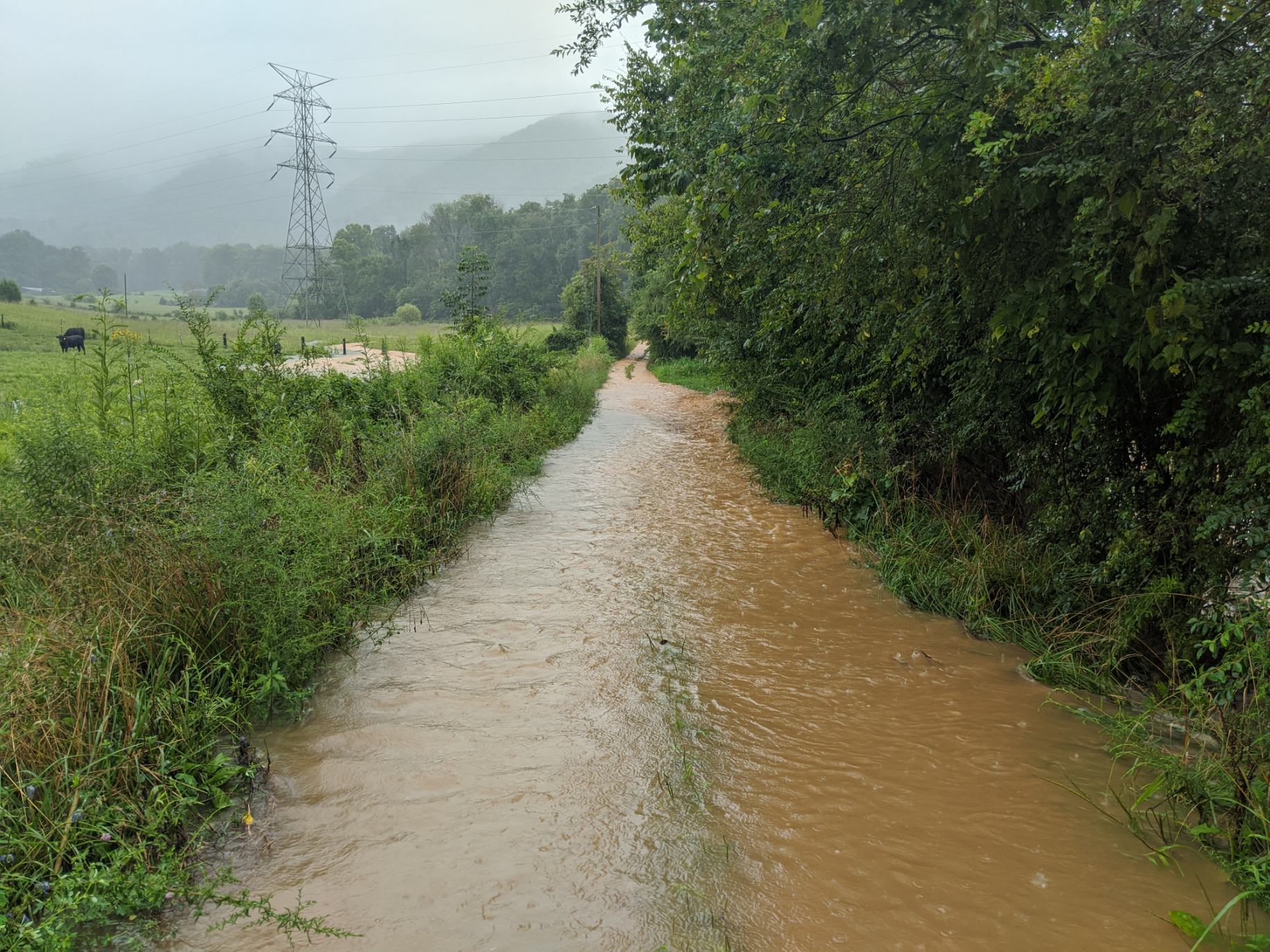 Tennessee Climate Office